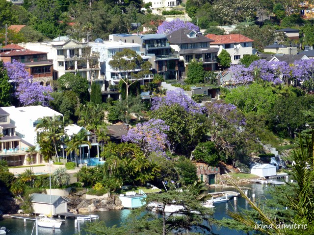 Joy of Spring – Acrostic Poem | Irina's Poetry Corner