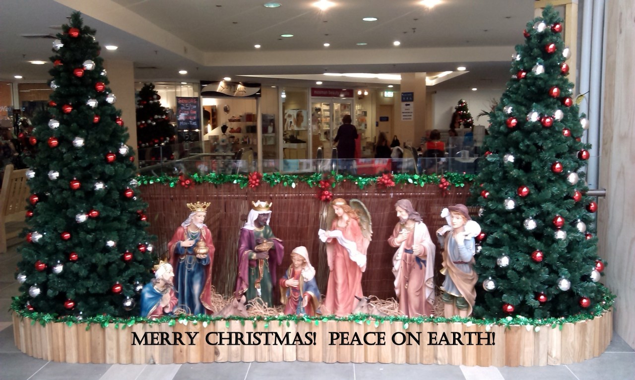 Spare a Thought for Santa – Cinquain | Irina's Poetry Corner